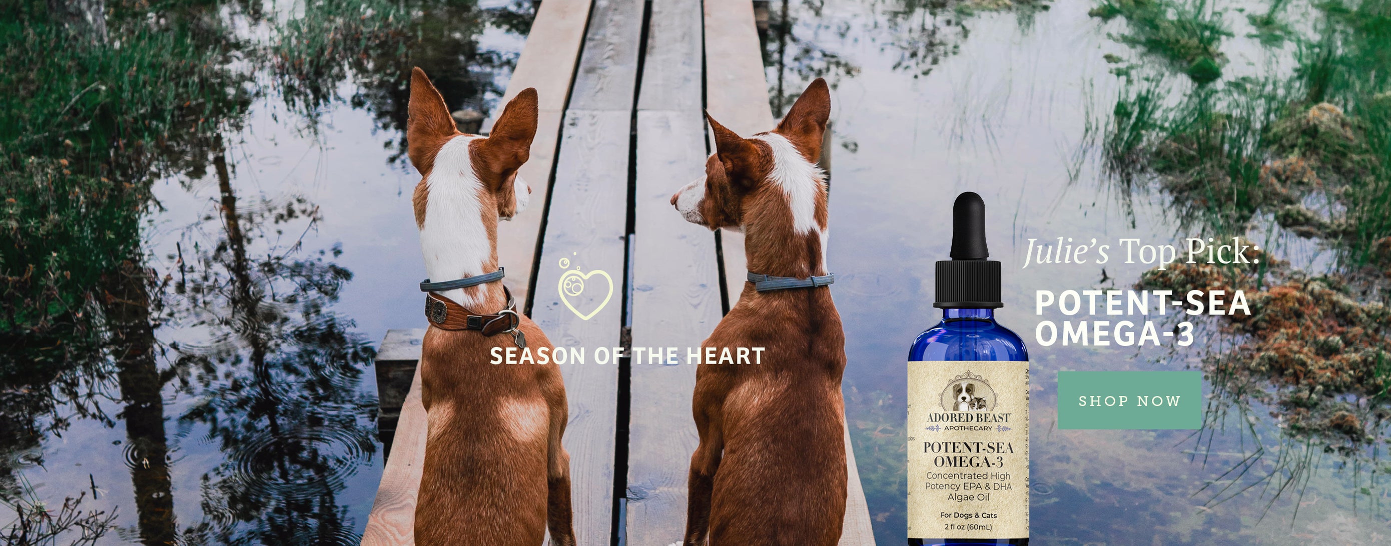 Adored Beast Apothecary Canada | Holistic Animal Healthcare Products