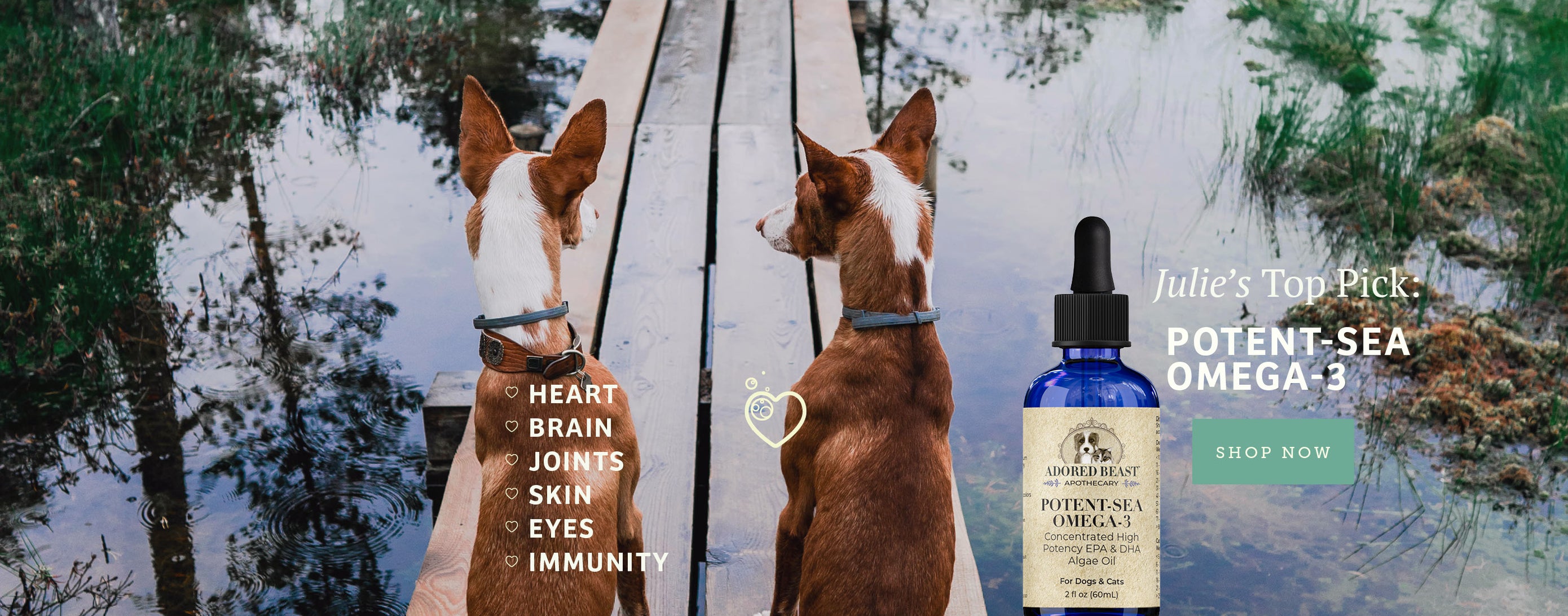 Adored Beast Apothecary Canada | Holistic Animal Healthcare Products