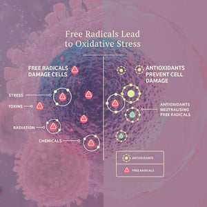 Vital Defense | Cellular Support — Adored Beast Apothecary