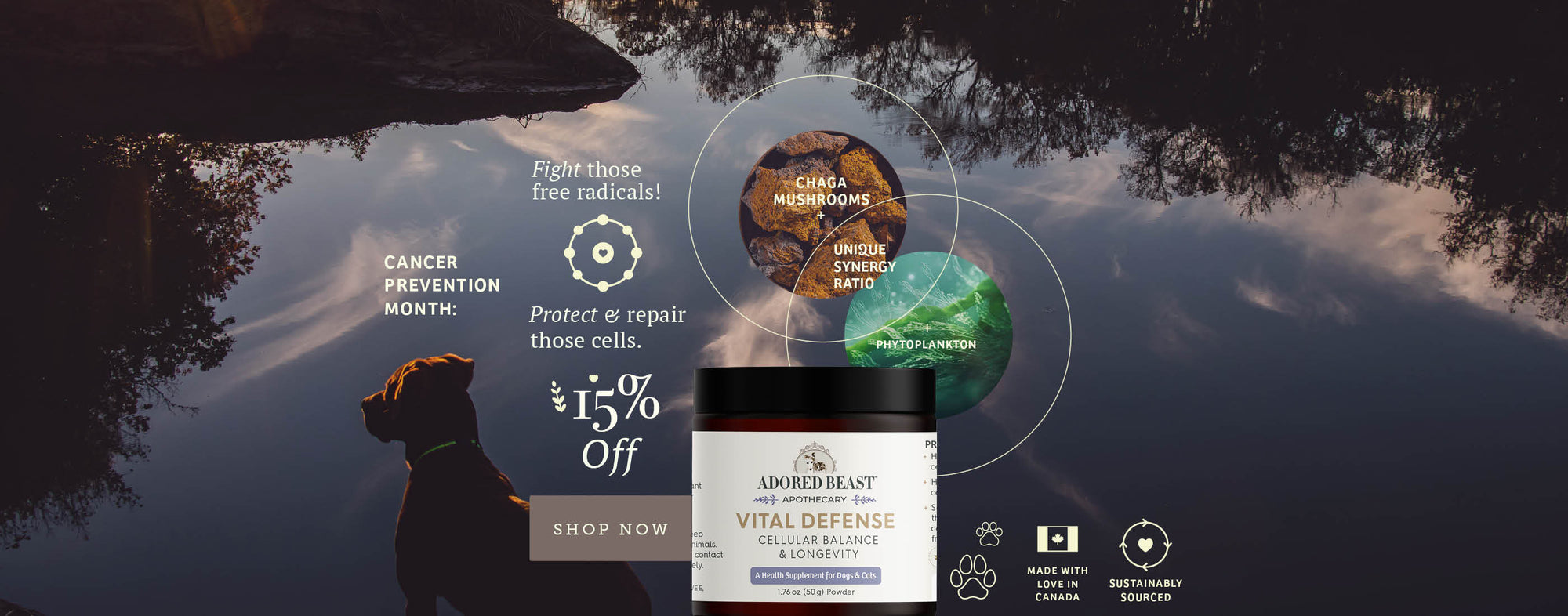 Adored Beast Apothecary Canada | Holistic Animal Healthcare Products